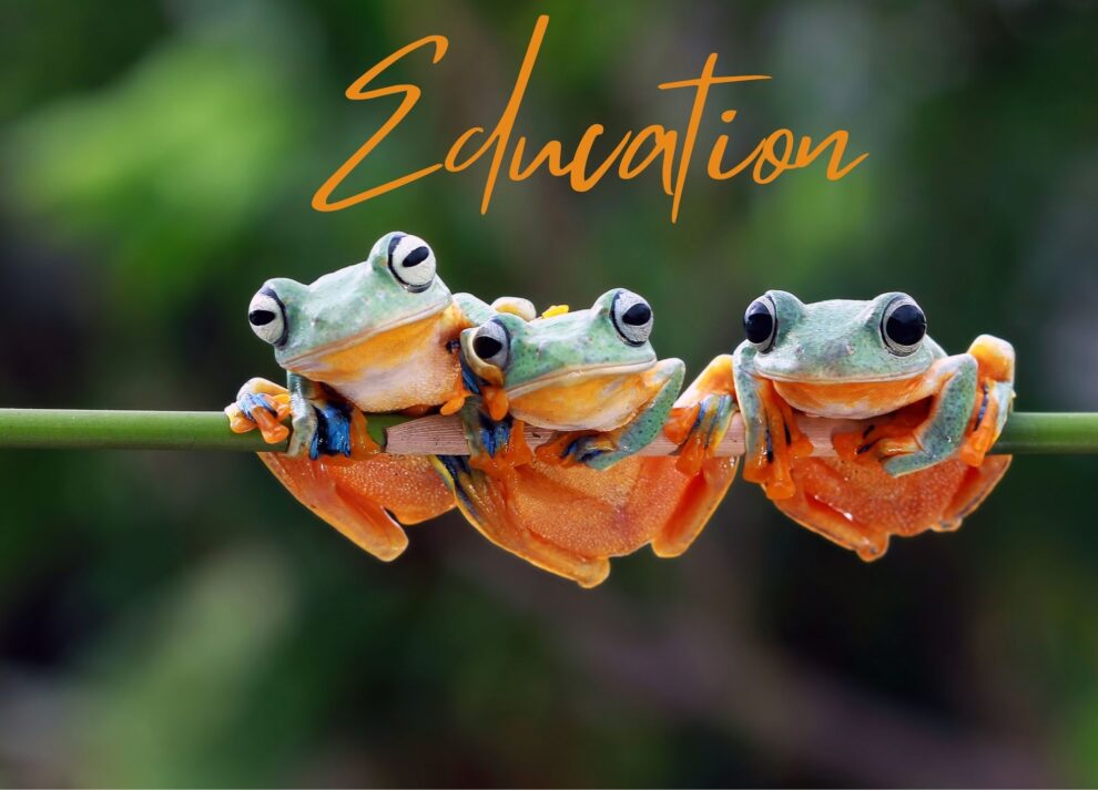 Uganda Wildlife Education Centre: A Hub for Conservation and Education ...